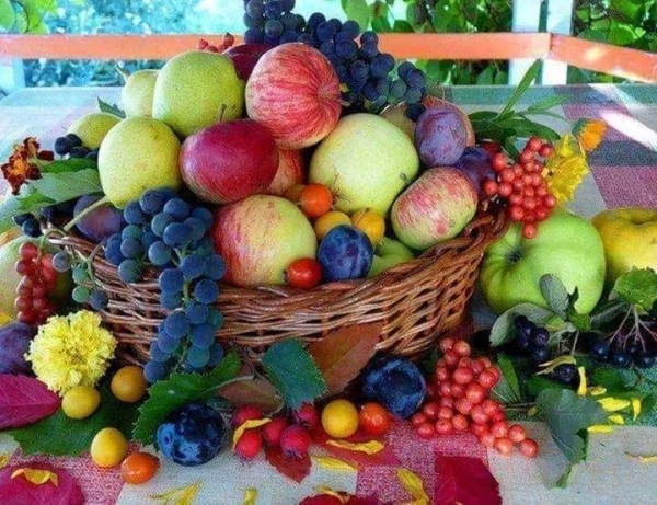 cos cu fructe | Agroinfo.ro